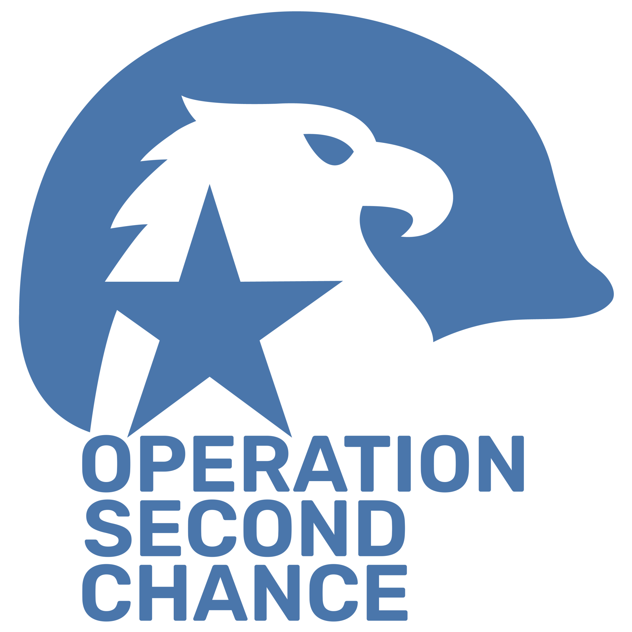 SUPPORT AND ASSISTANCE - Operation Second Chance